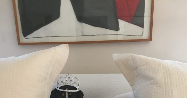 Guest Post: Daphne Butler on the Ties that Bind (A Spool of Blue ...