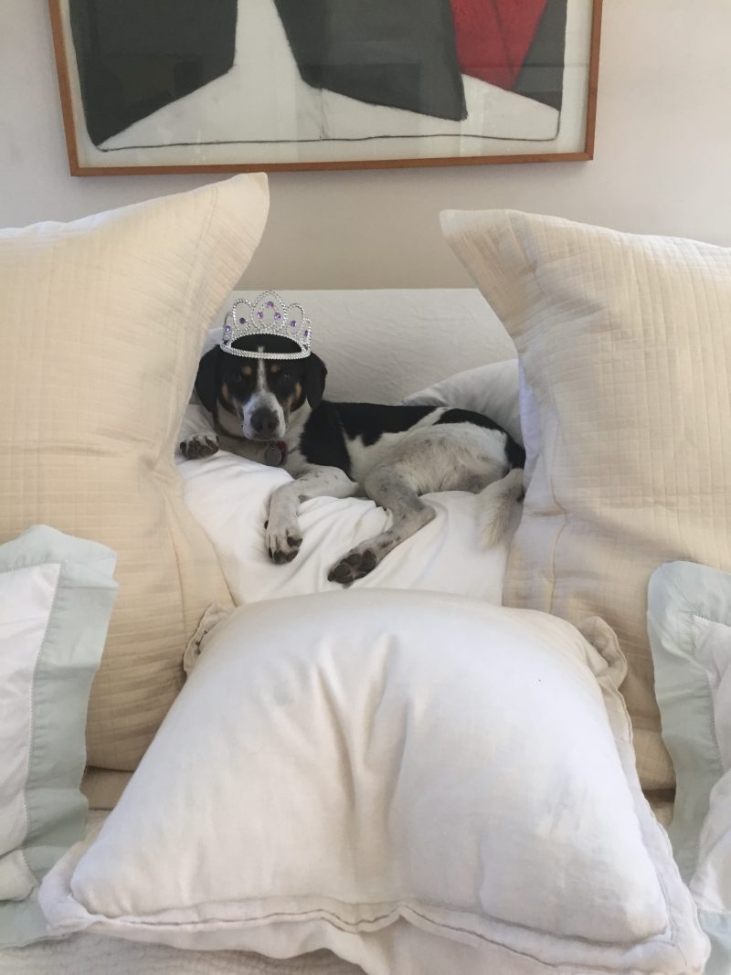 Guest Post: Daphne Butler on the Ties that Bind (A Spool of Blue ...