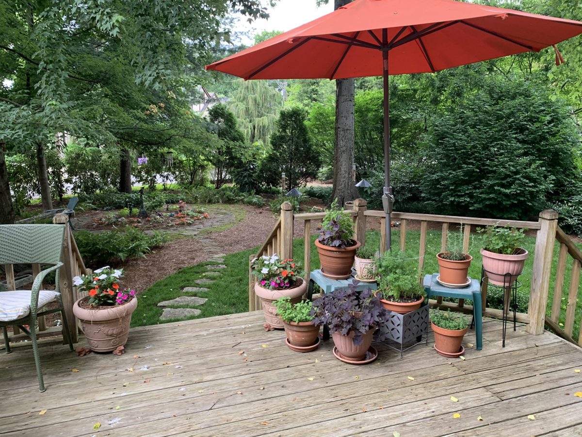 Nick Zeppos & Lydia Howarth: Life in the Time of Retirement – Bacon on ...