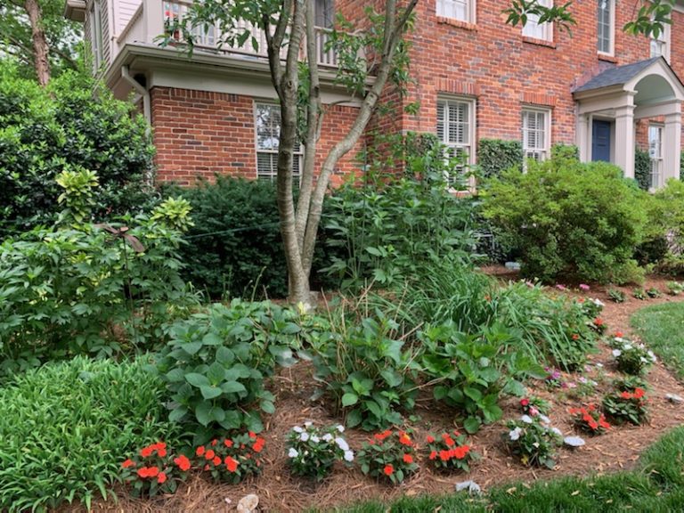 Nick Zeppos & Lydia Howarth: Life in the Time of Retirement – Bacon on ...